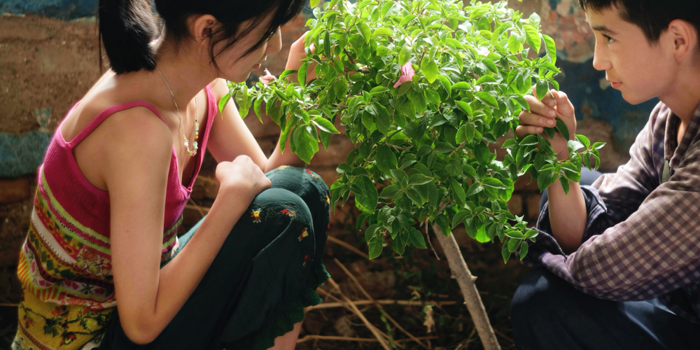 Cine Colombia - Festivales - The Botanist